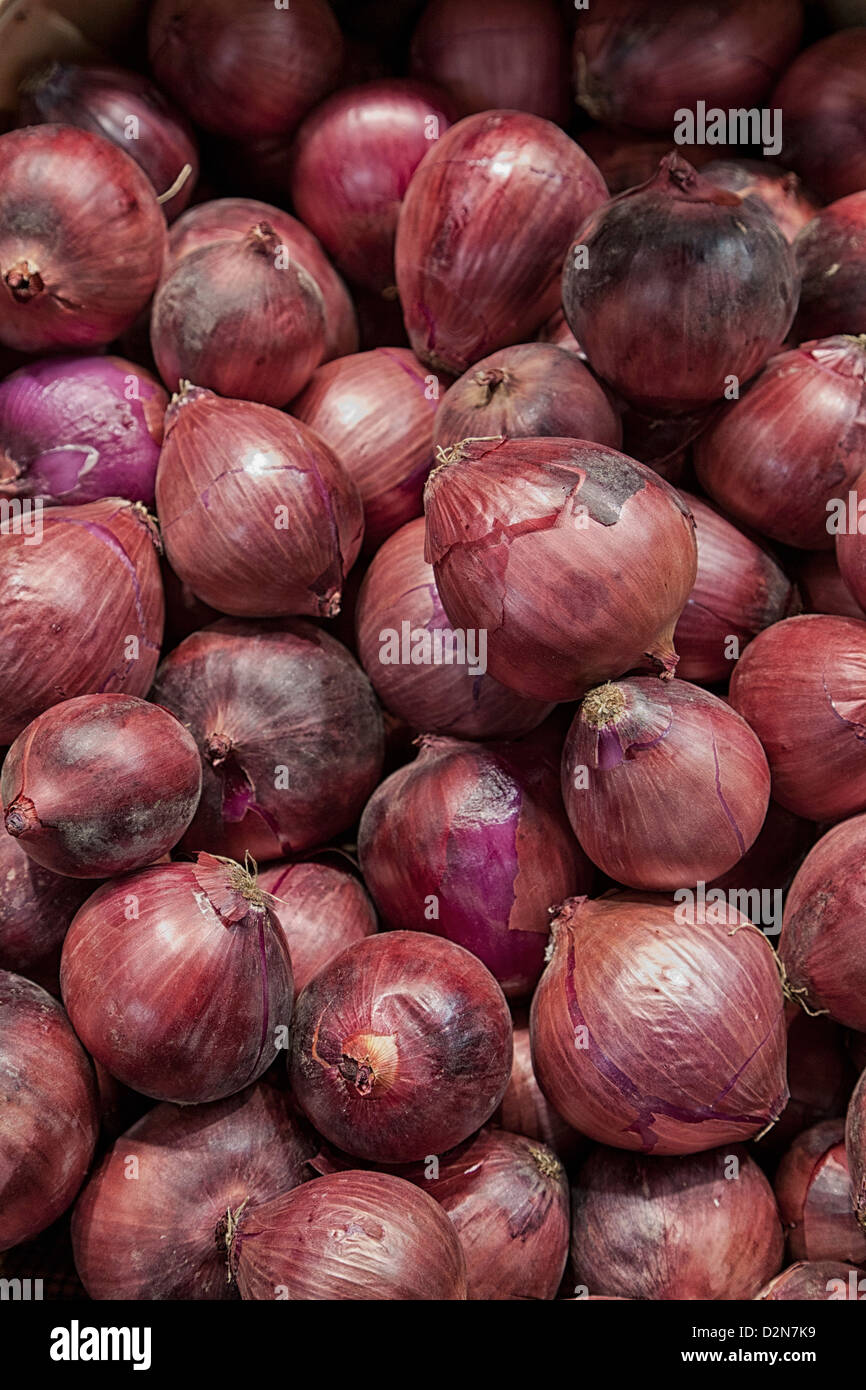 red purple onions piled high at the farmer's market ready for sale ...