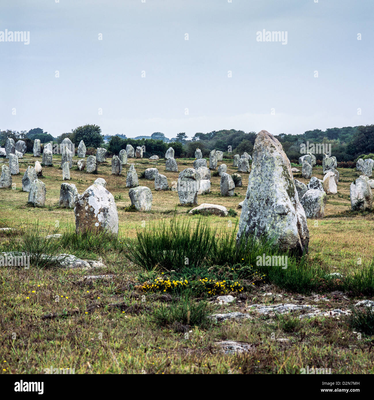 Standing stones alignment Carnac Brittany France Europe Stock Photo - Alamy