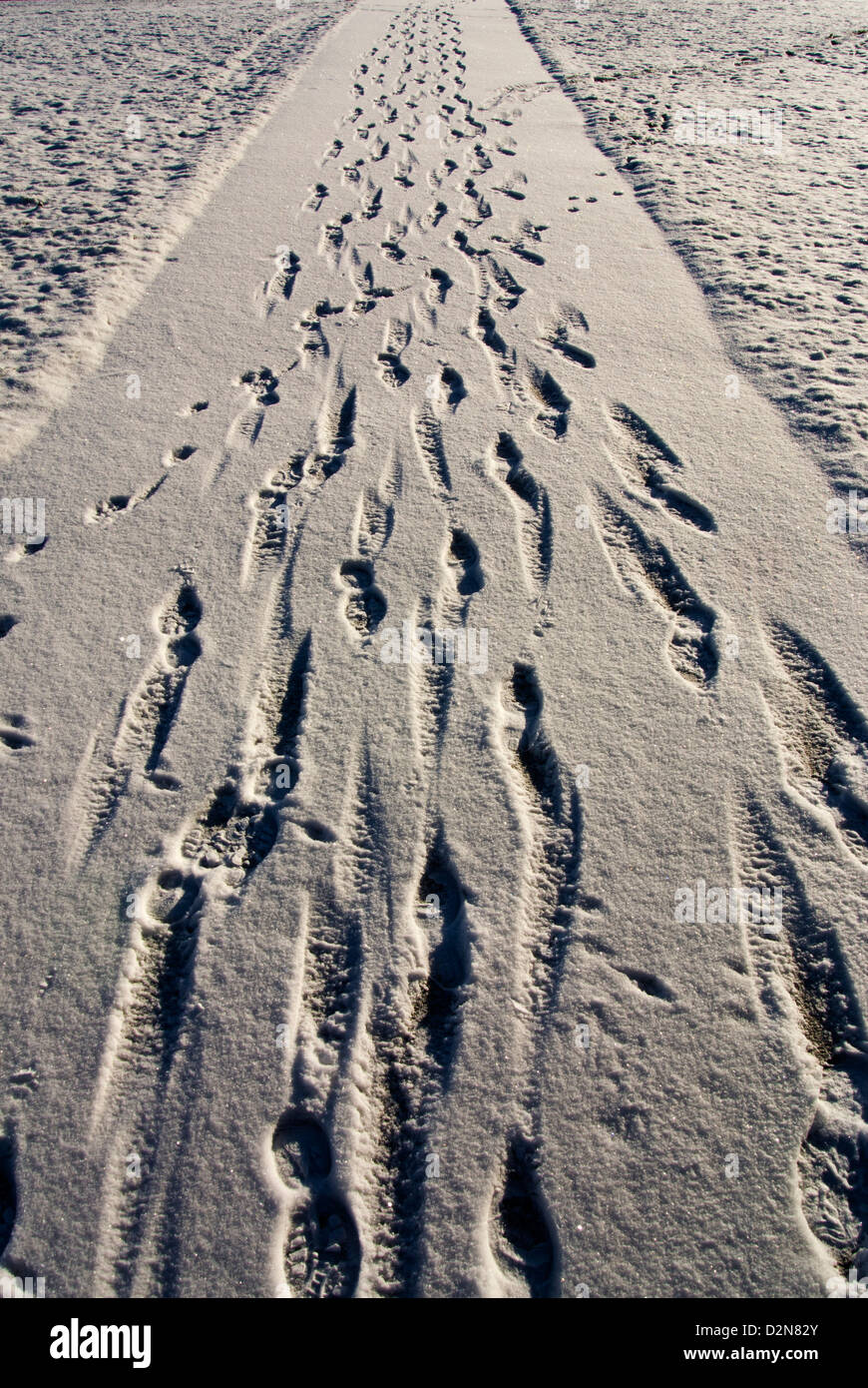 Snow covered path with footprints Stock Photo - Alamy