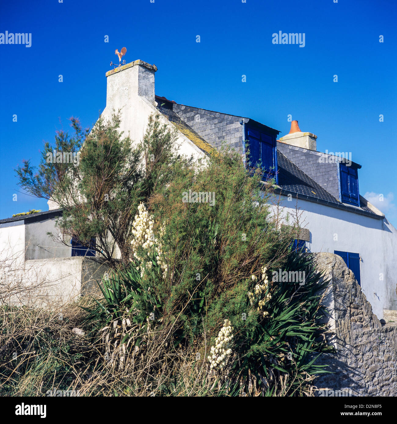 Tamarisk house hi-res stock photography and images - Alamy