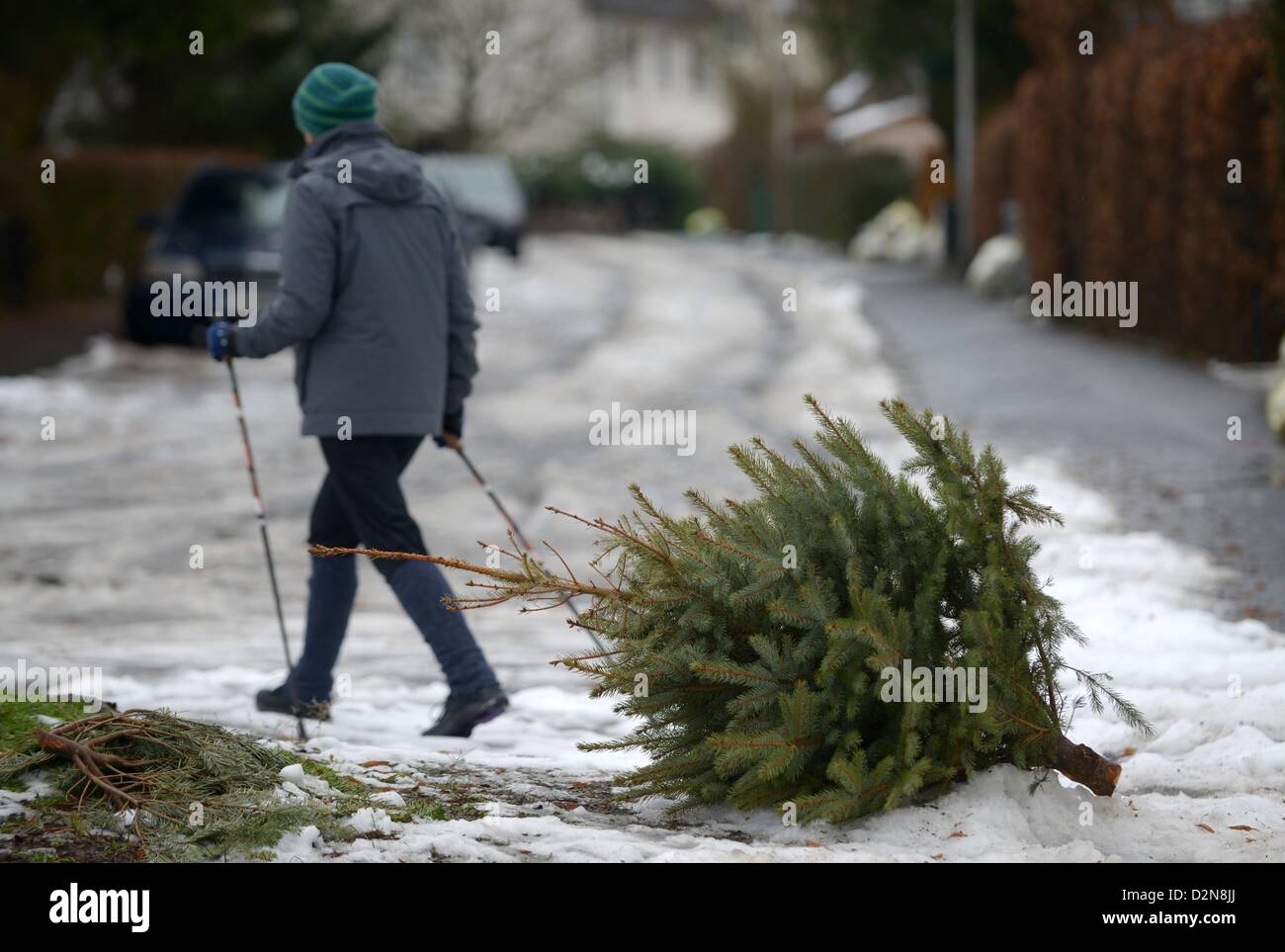 A Christmas tree sits in the partially melted snow in Kassel, Germany ...