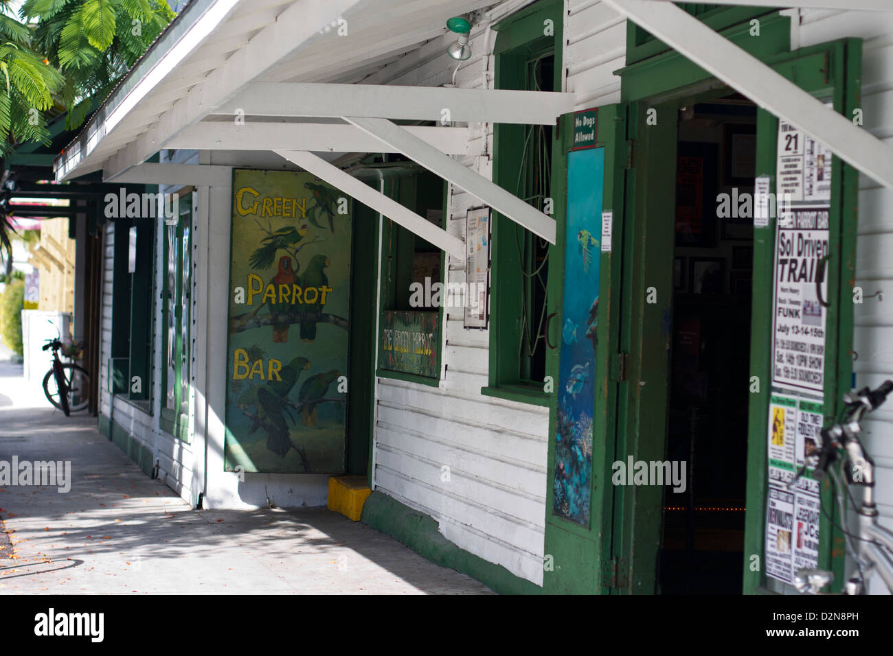 Green parrot bar hi-res stock photography and images - Alamy