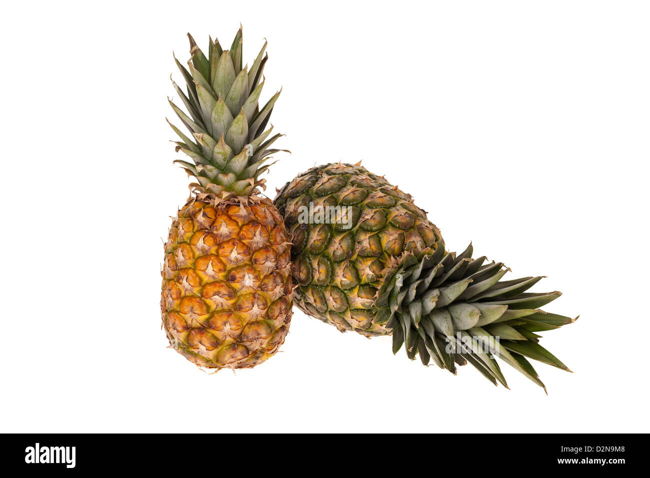 Two whole pineapple fruits, one standing and one lying in front of ...