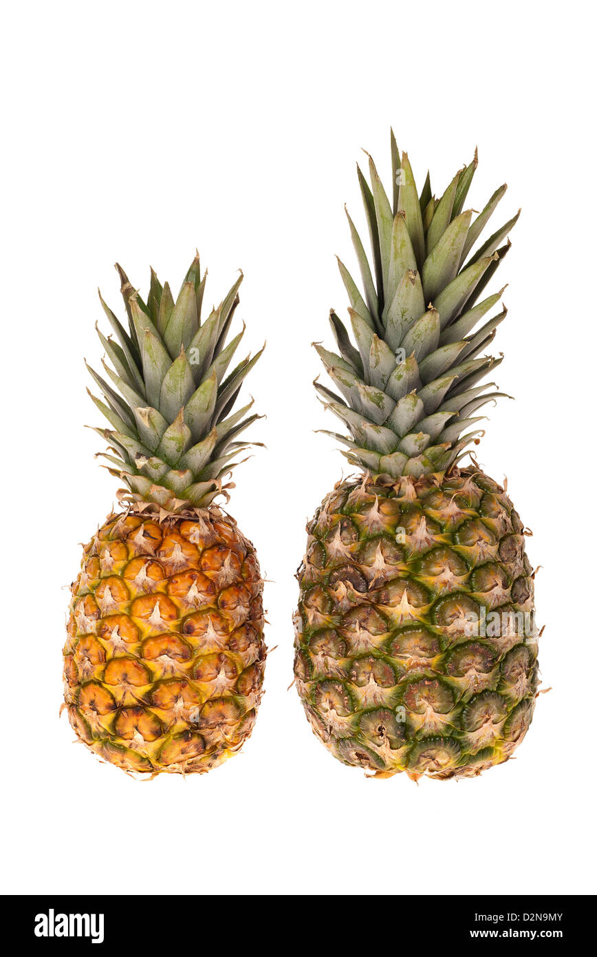 Two whole pineapple fruits, a small and a large standing in front of ...