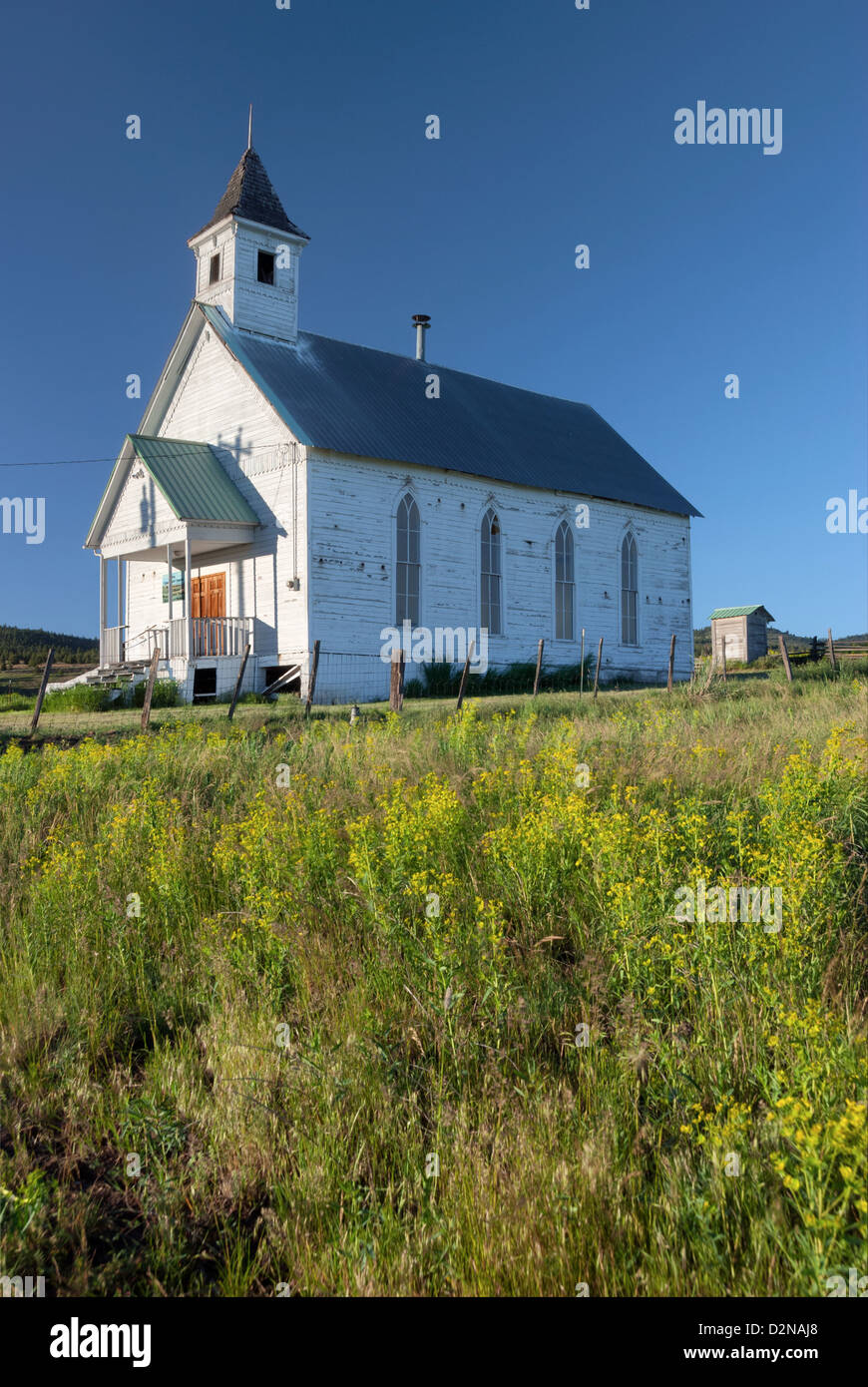 The old fox hi-res stock photography and images - Alamy