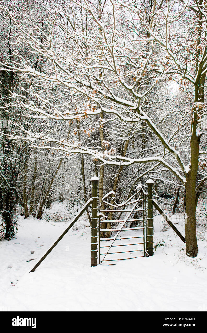 An old metal gate in snow covered woodland Stock Photo - Alamy
