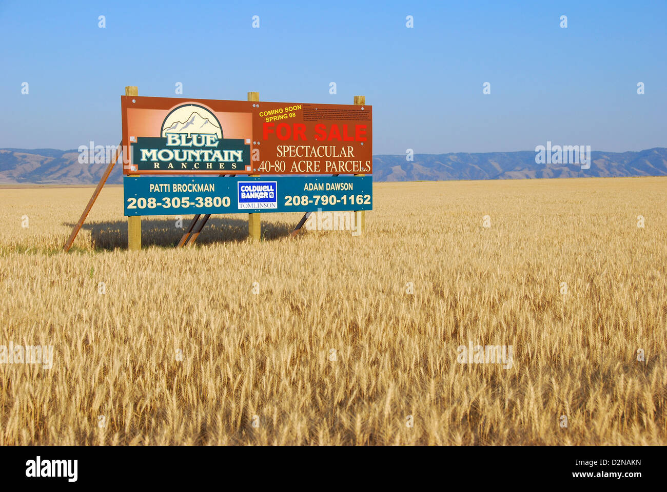Billboard advertising land for sale sign on a farm in Southeast ...