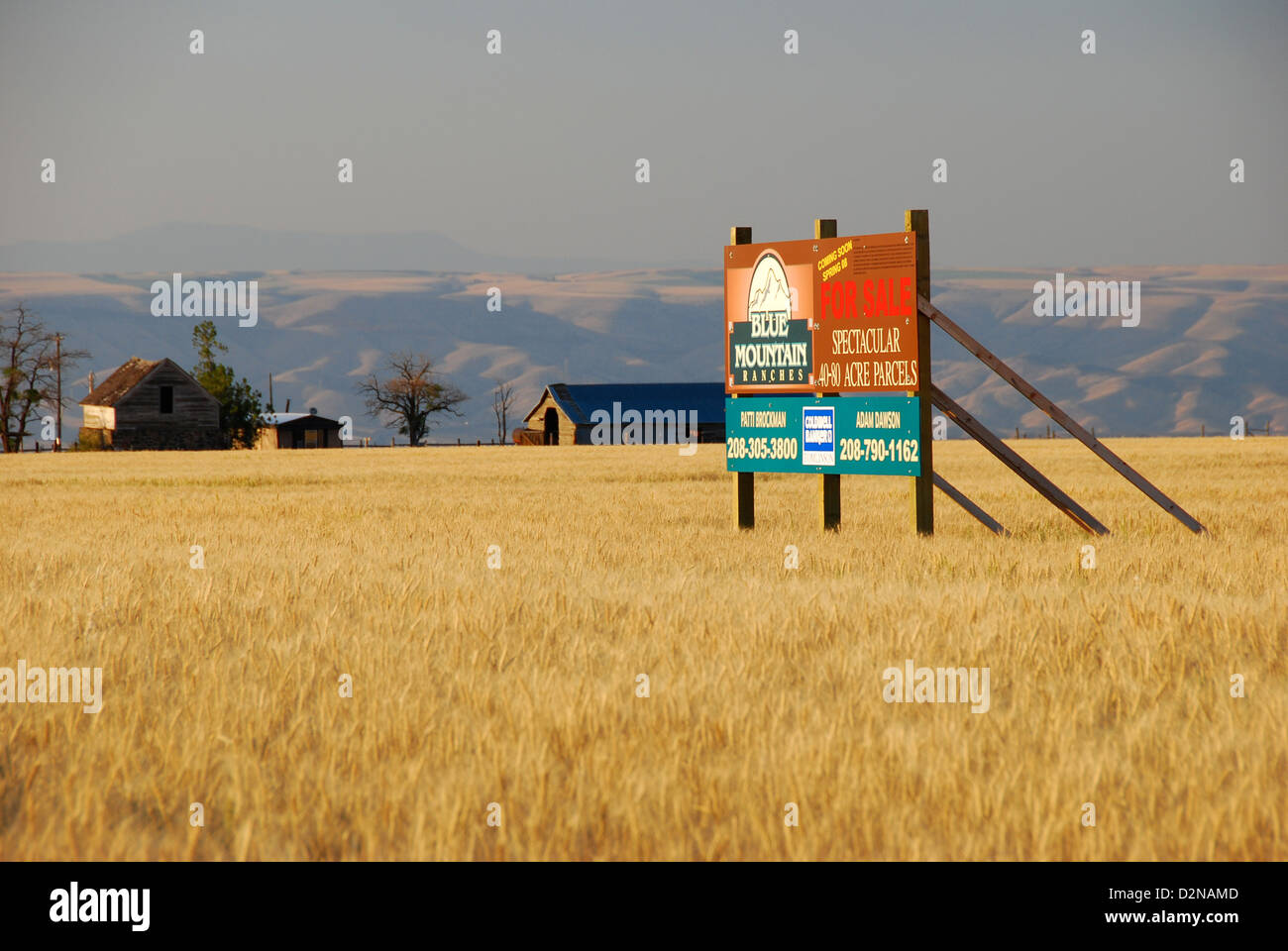 Billboard advertising land for sale sign on a farm in Southeast ...