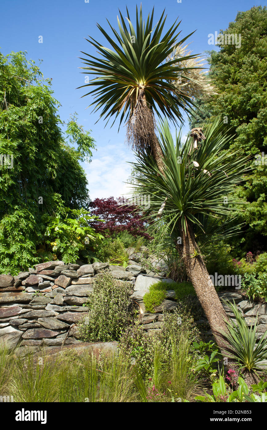 Tree underplanted hi-res stock photography and images - Alamy