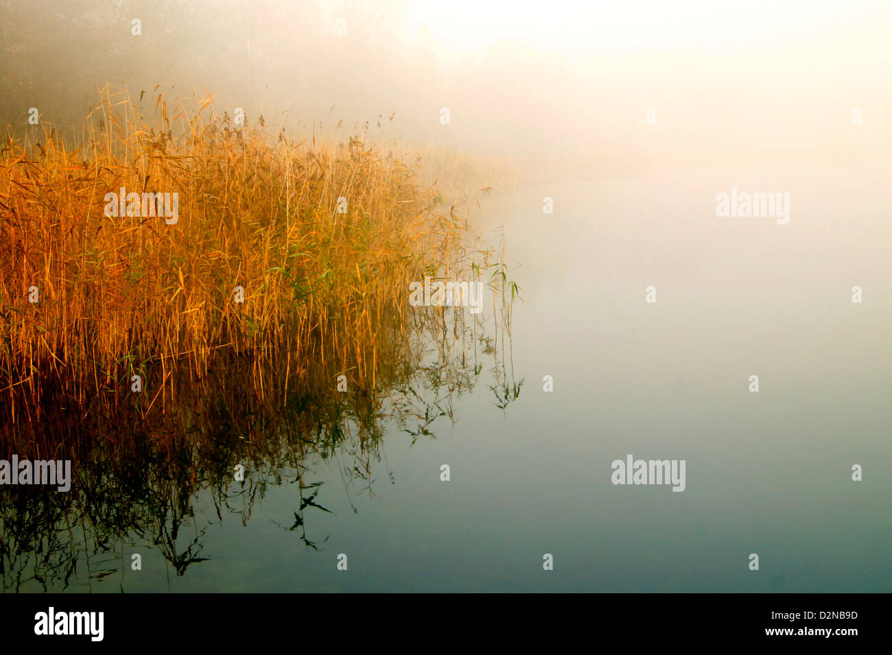 mysterious mist on the lake Stock Photo - Alamy