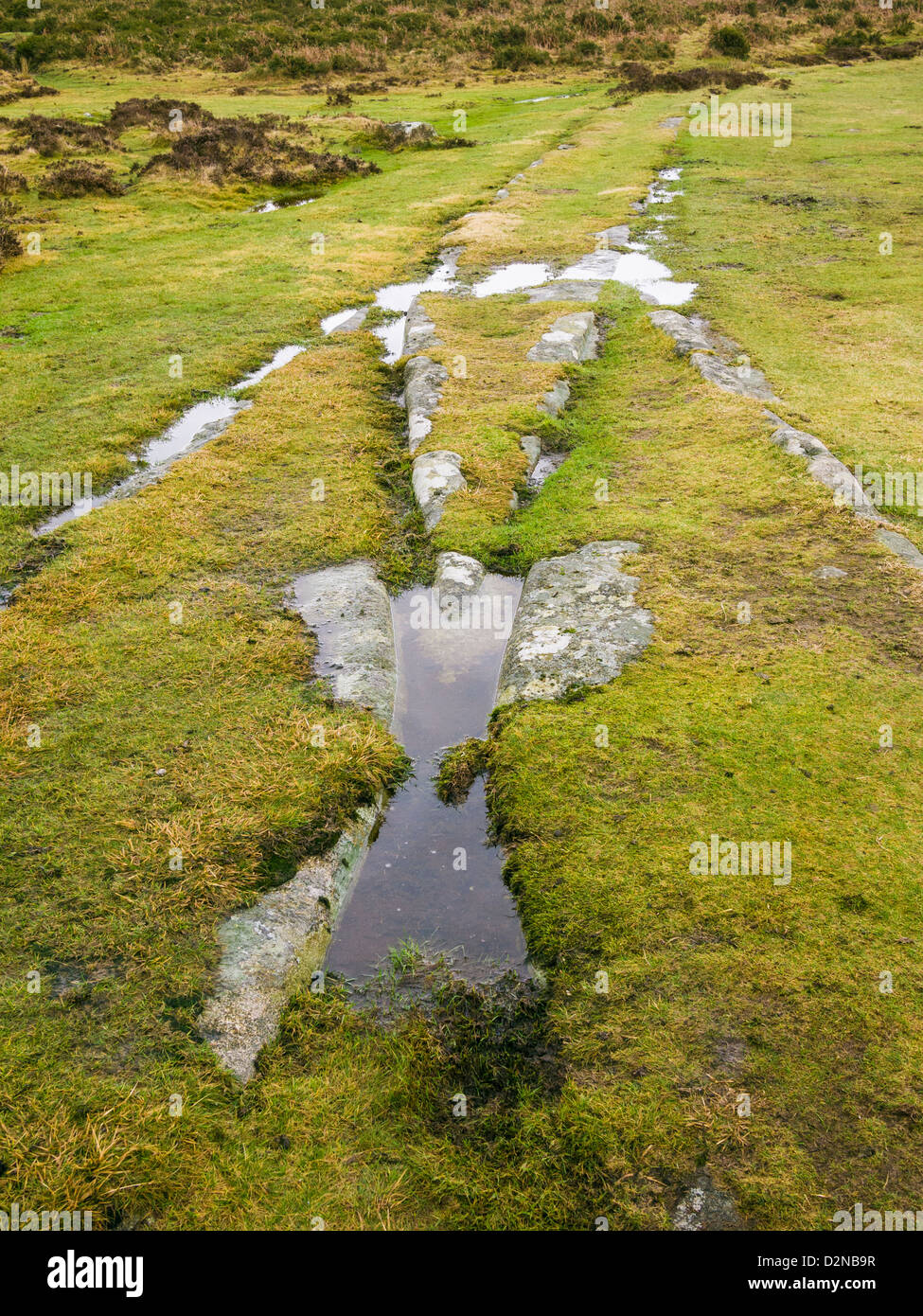 Trackwork remains of the Haytor Granite Tramway in Dartmoor National ...