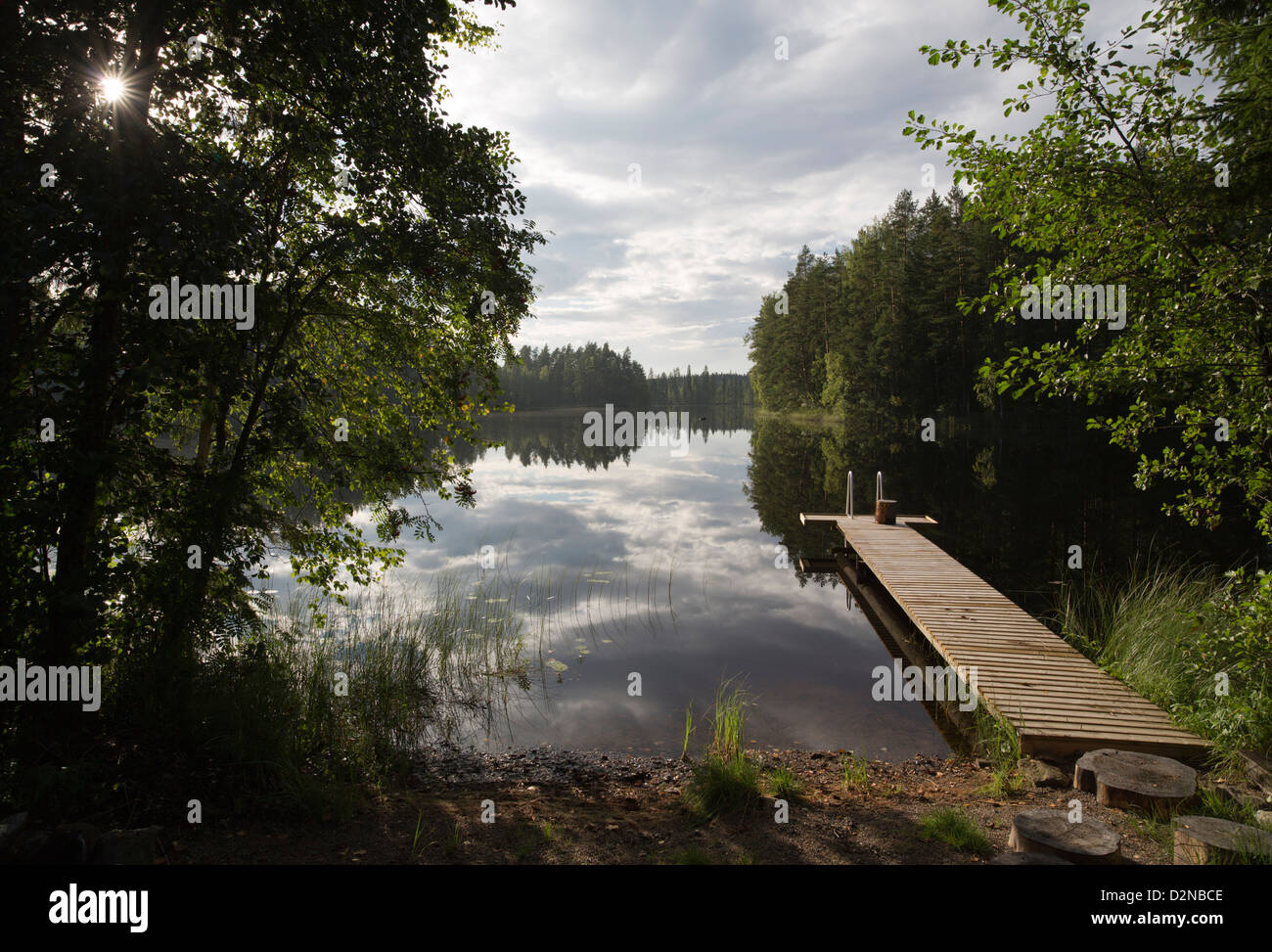 Pier lake forest shore hi-res stock photography and images - Alamy