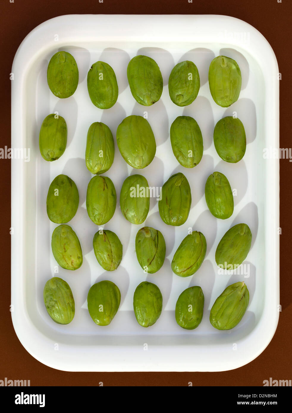 Stink Beans (also known as Twisted Cluster, Bitter, Petai or Sator ...