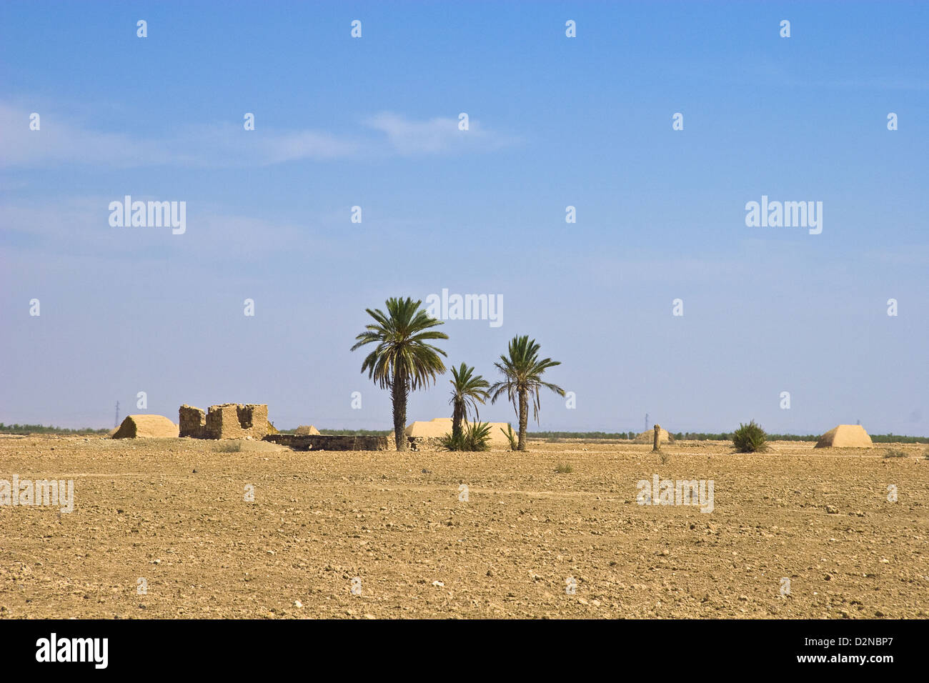 Desert ground hi-res stock photography and images - Alamy