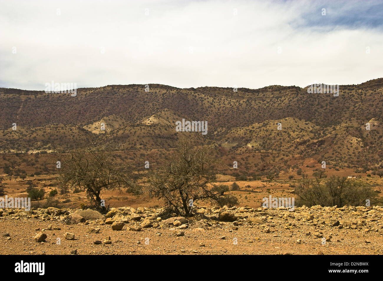 Desert lan hi-res stock photography and images - Alamy