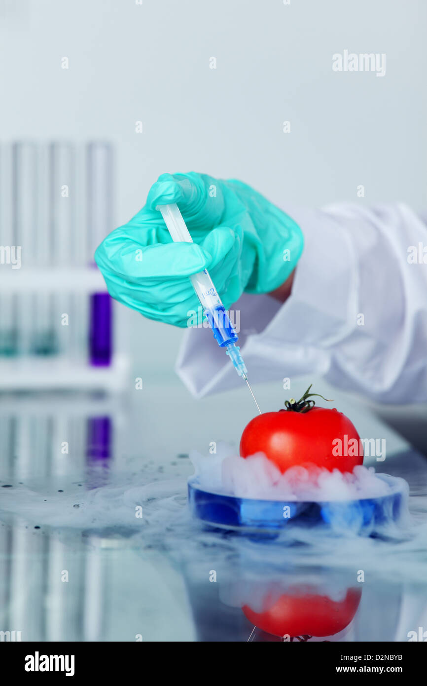 tomato DNA change microbiology experiment Stock Photo - Alamy