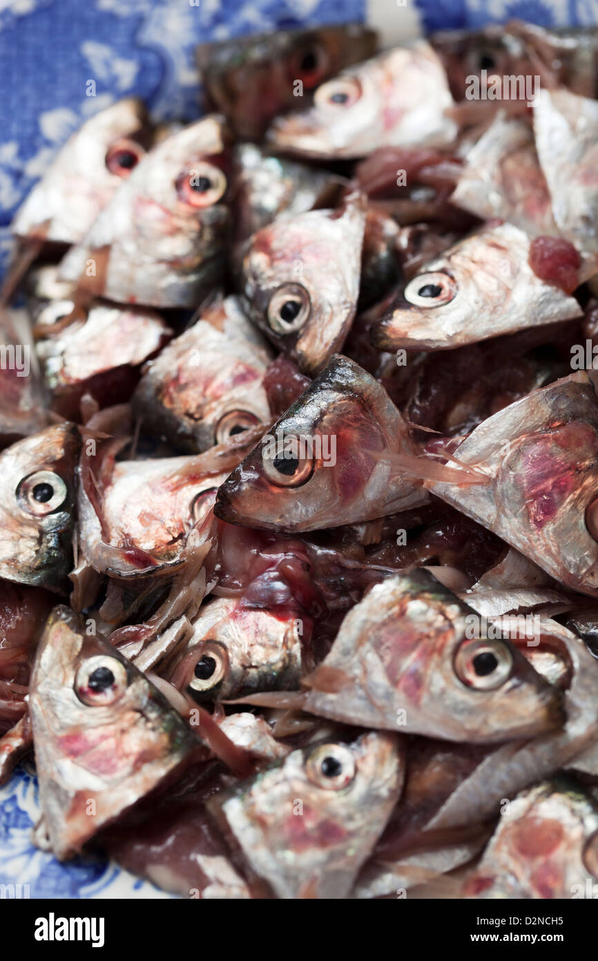 Oily sprat hi-res stock photography and images - Alamy