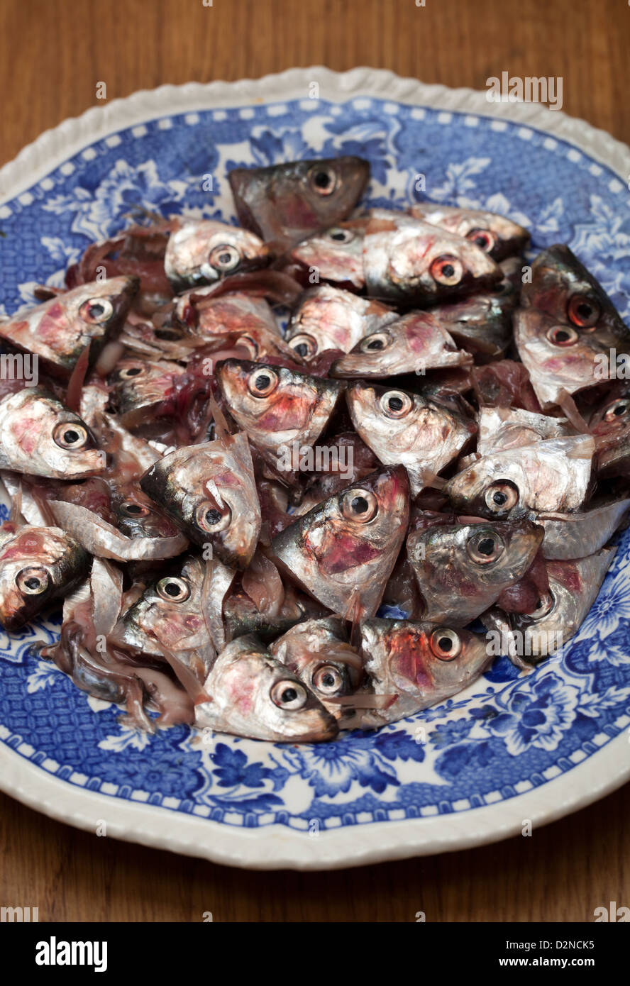 European sprat hi-res stock photography and images - Alamy