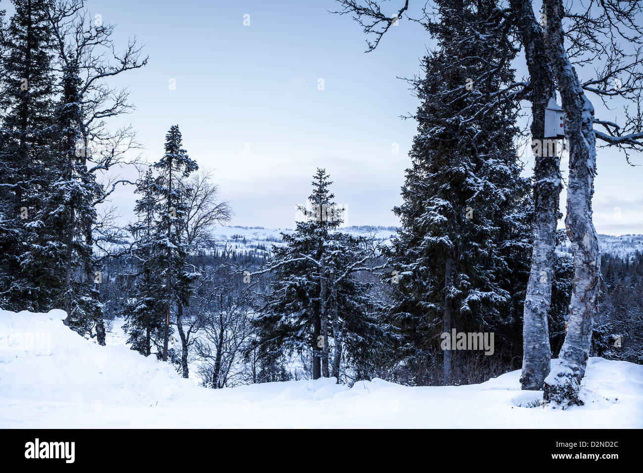 åre sweden skiing hi-res stock photography and images - Alamy