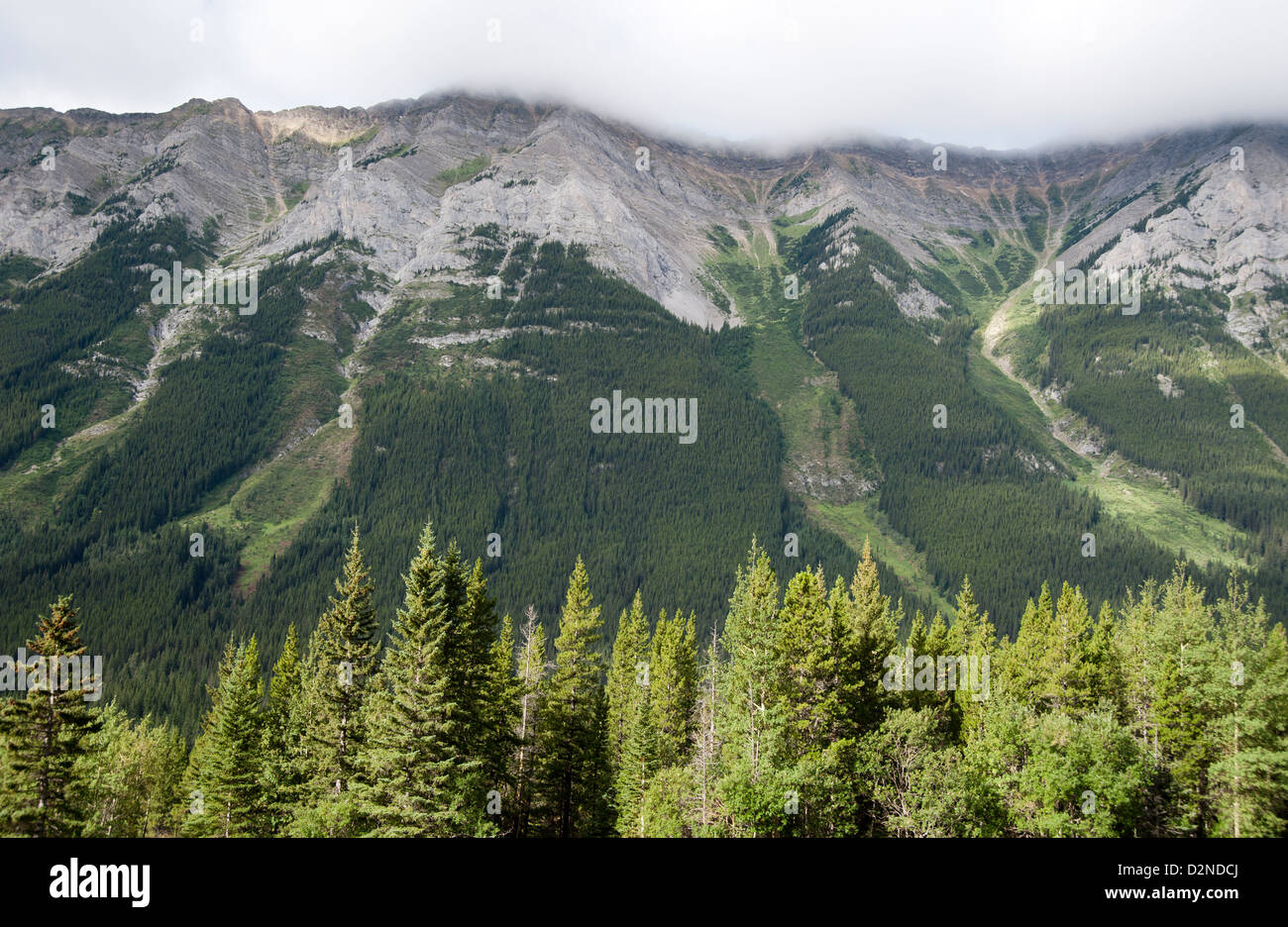 Gullies hi-res stock photography and images - Alamy