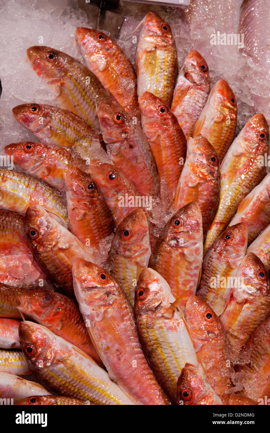 Salmonete hi-res stock photography and images - Alamy