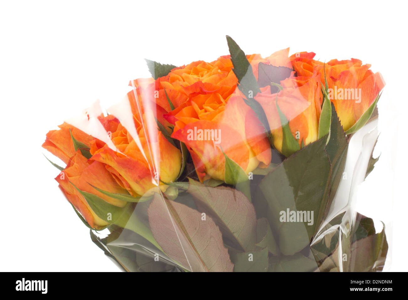 Bunch of roses Stock Photo - Alamy