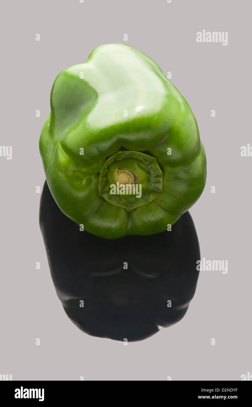 fresh shiny green pepper with reflection ready for eating Stock Photo ...