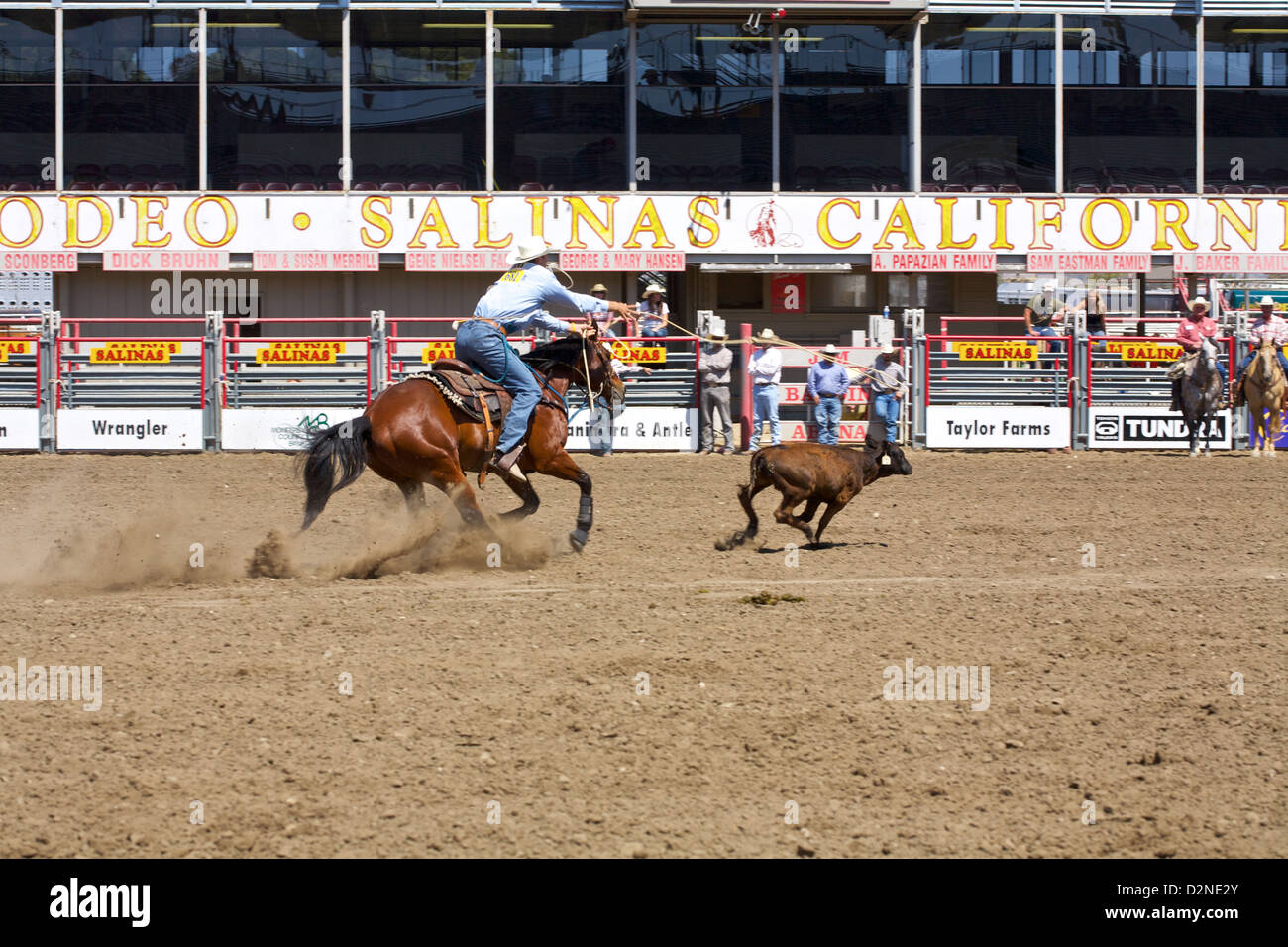 Bull Riding During Rodeo Competition High Resolution Stock Photography ...