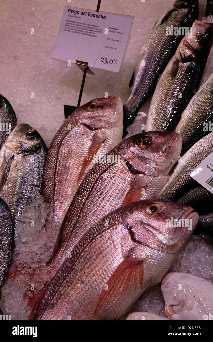 pargo porgy seabream fish market chamberi madrid spain fresh seafood ...