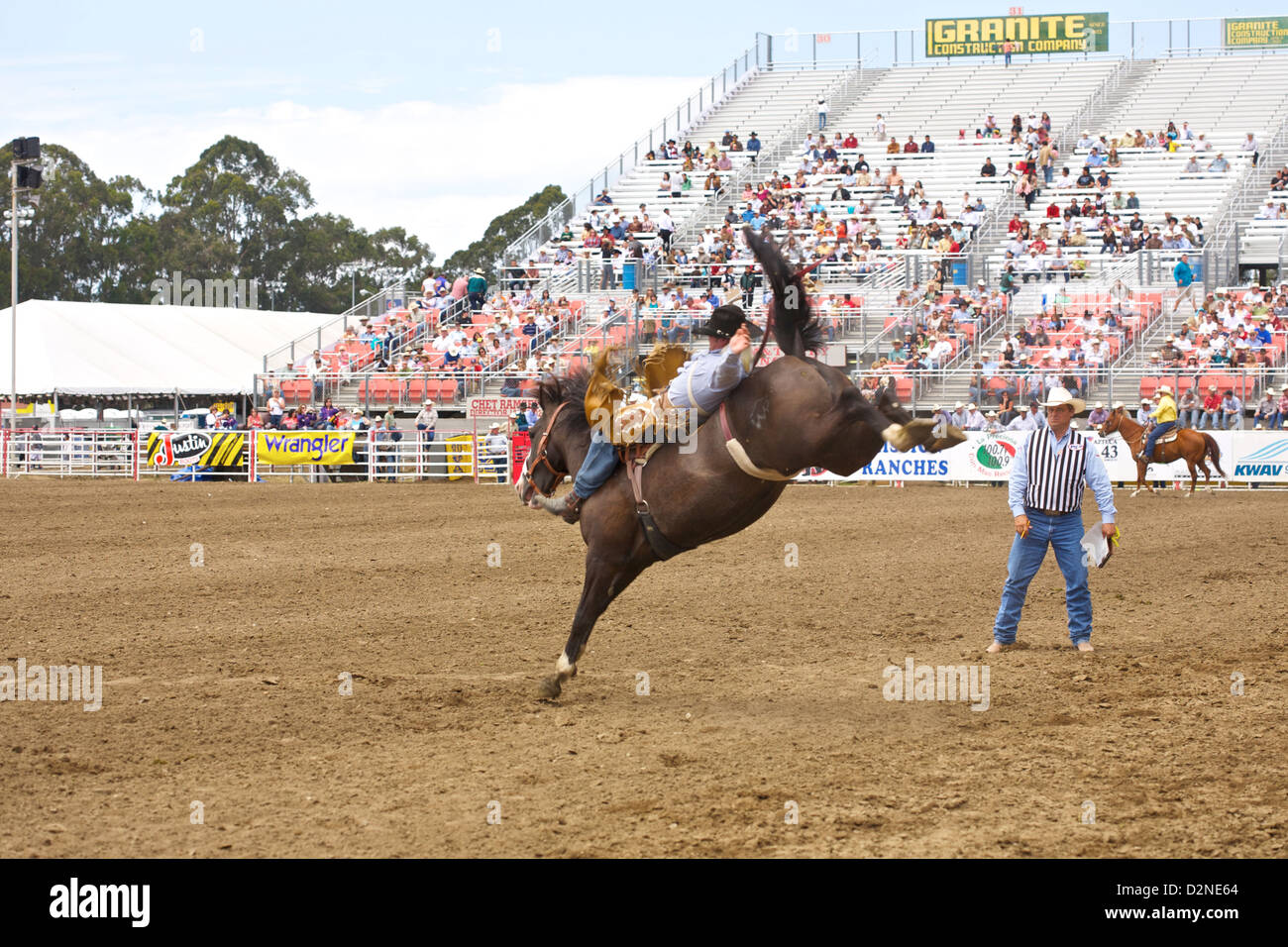 Cowboy On Bucking Horse High Resolution Stock Photography and Images ...