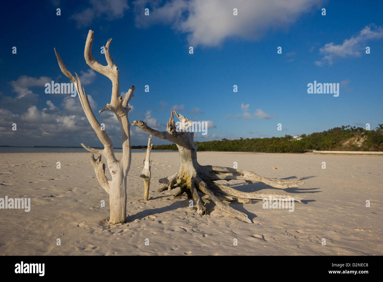 Harbour island the bahamas beach hi-res stock photography and images ...