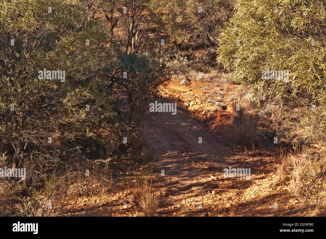 CANNING STOCK ROUTE, WESTERN AUSTRALIA, AUSTRALIA Stock Photo - Alamy
