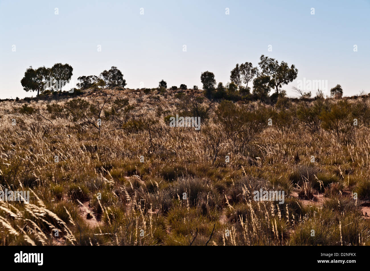 CANNING STOCK ROUTE, WESTERN AUSTRALIA, AUSTRALIA Stock Photo - Alamy