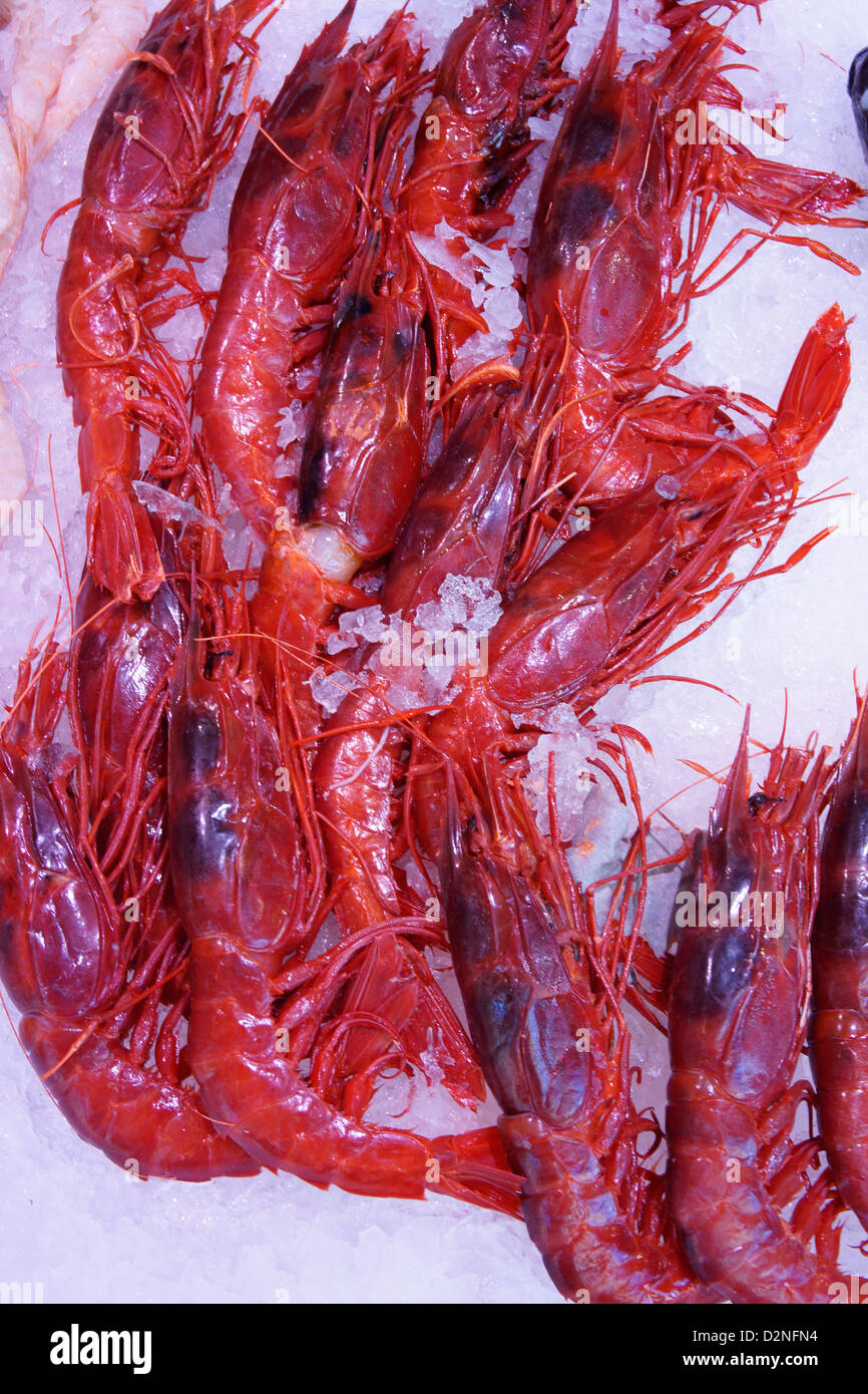 Scarlet shrimp hi-res stock photography and images - Alamy