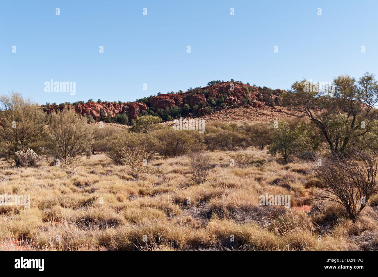 CANNING STOCK ROUTE, WESTERN AUSTRALIA, AUSTRALIA Stock Photo - Alamy