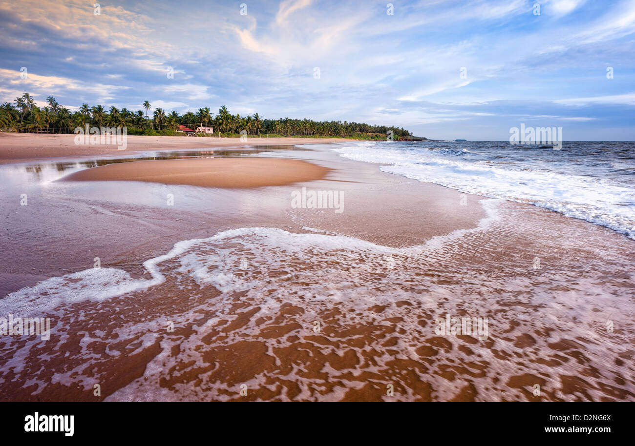 Sunset along the sandy beach lined with coconut palms and the Arabian ...
