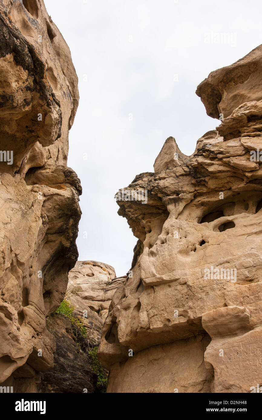 Geology native aboriginal petroglyphs rock drawings history hi-res ...