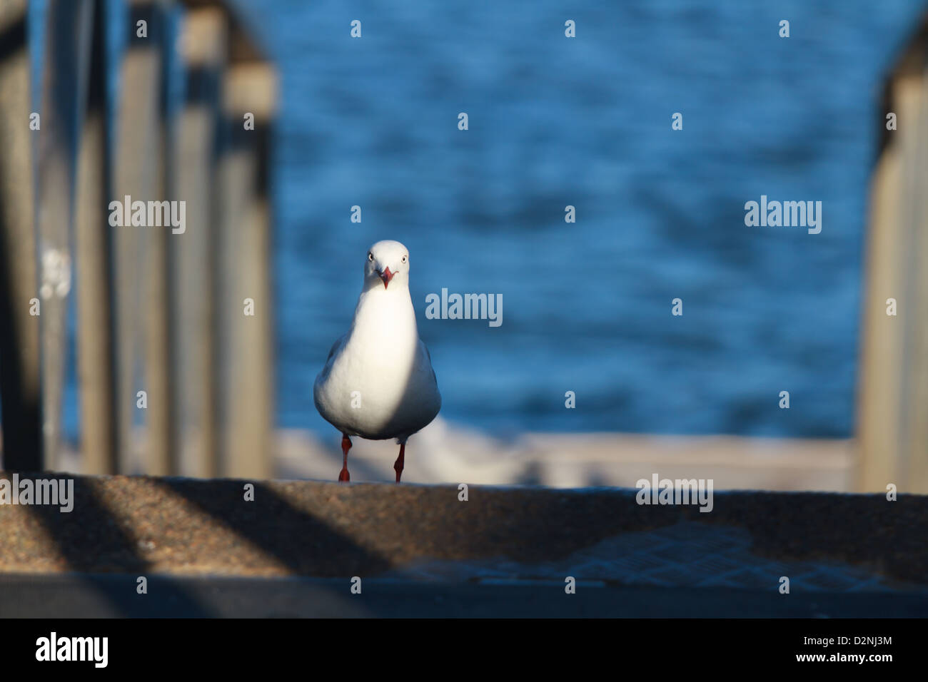 Ramp into sea hi-res stock photography and images - Alamy