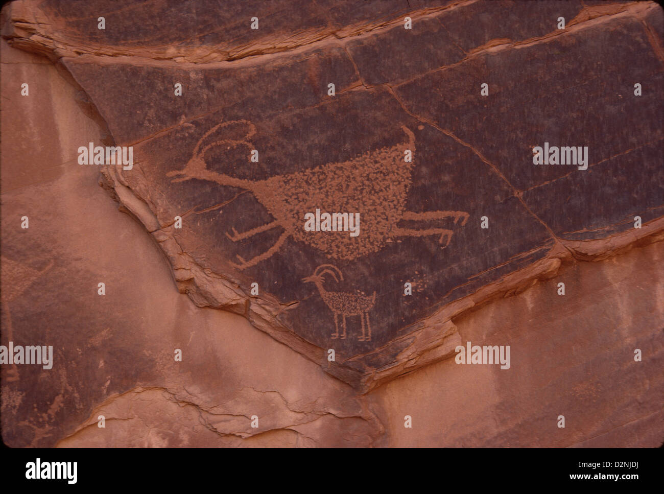 Petroglyph, Monument Valley Navajo Tribal park, Arizona/UT Stock Photo ...