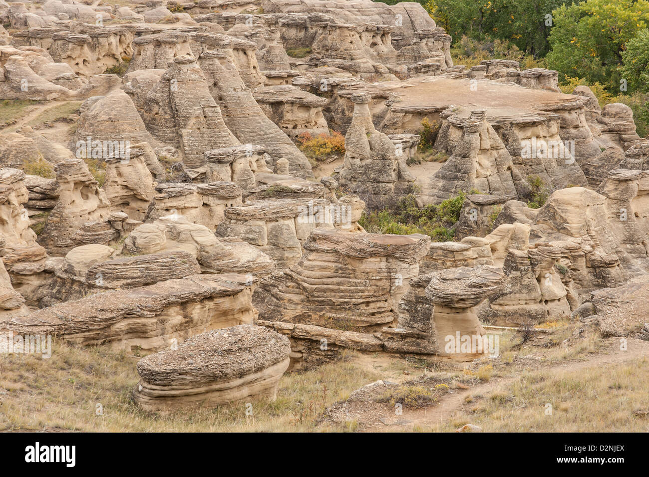 Geology native aboriginal petroglyphs rock drawings history hi-res ...