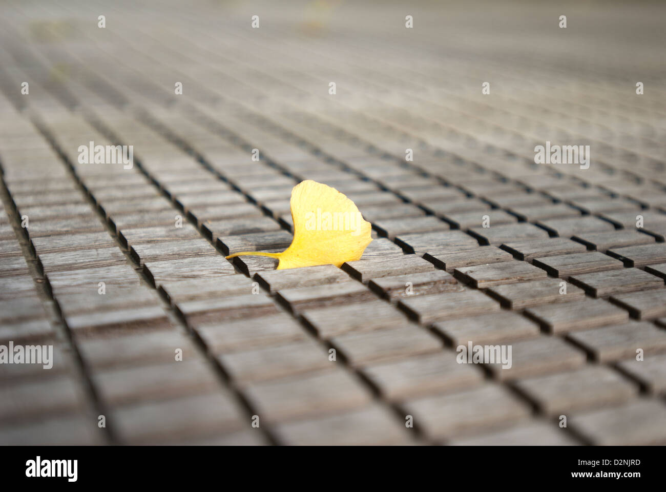 Trapped in a rut hi-res stock photography and images - Alamy