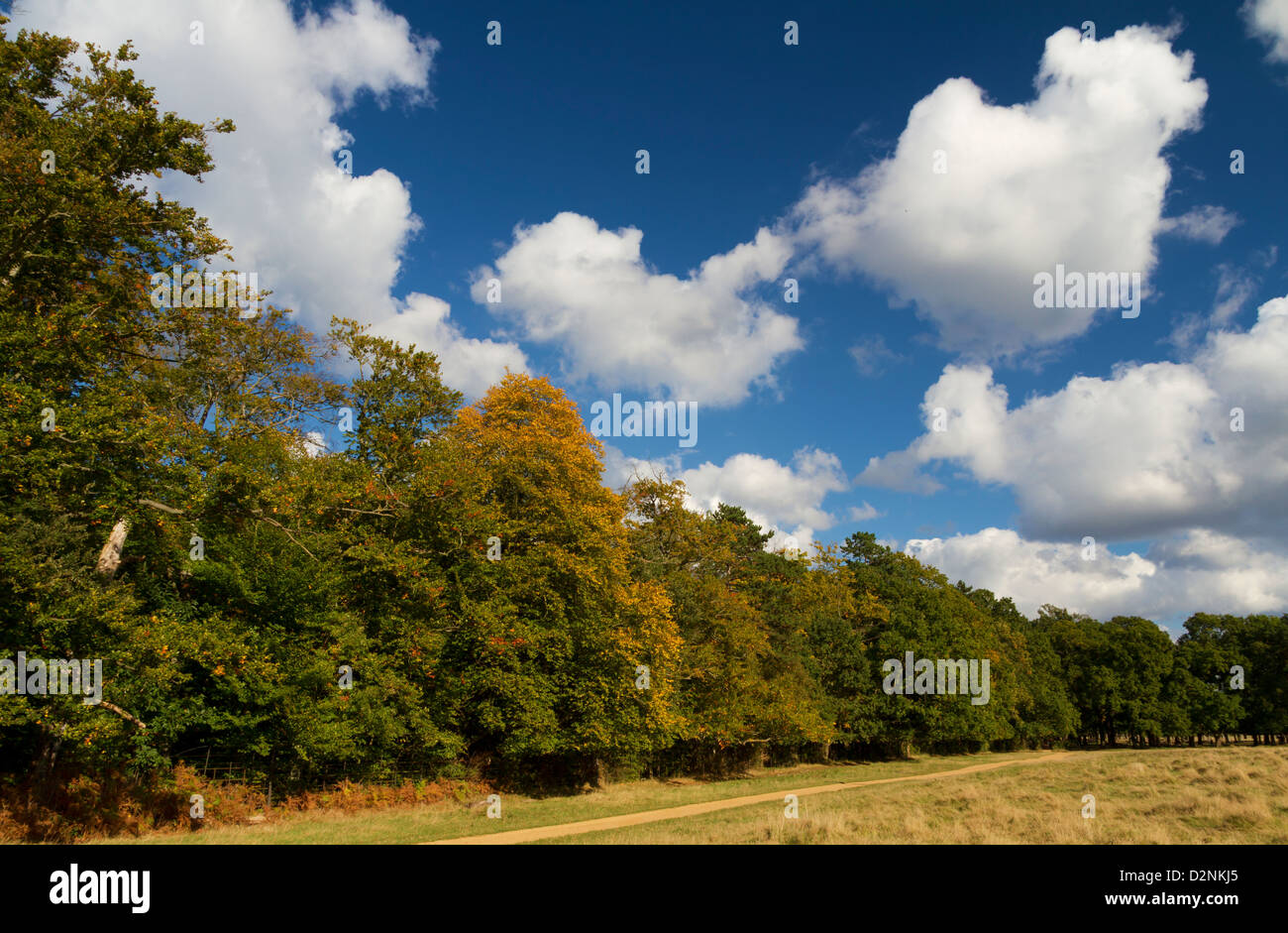 Early Autumn with cloudscape Stock Photo - Alamy