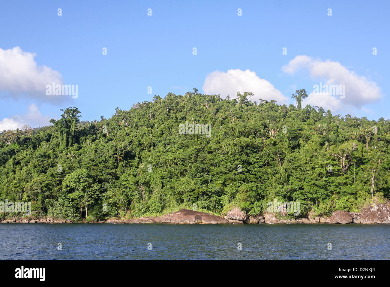 The Masoala forest in eastern Madagascar, UNESCO World Heritage Stock ...
