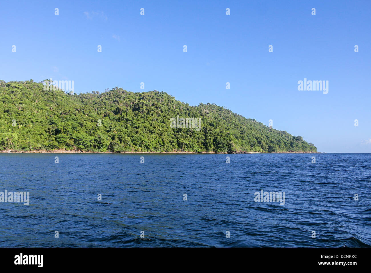 The Masoala forest in eastern Madagascar, UNESCO World Heritage Stock ...