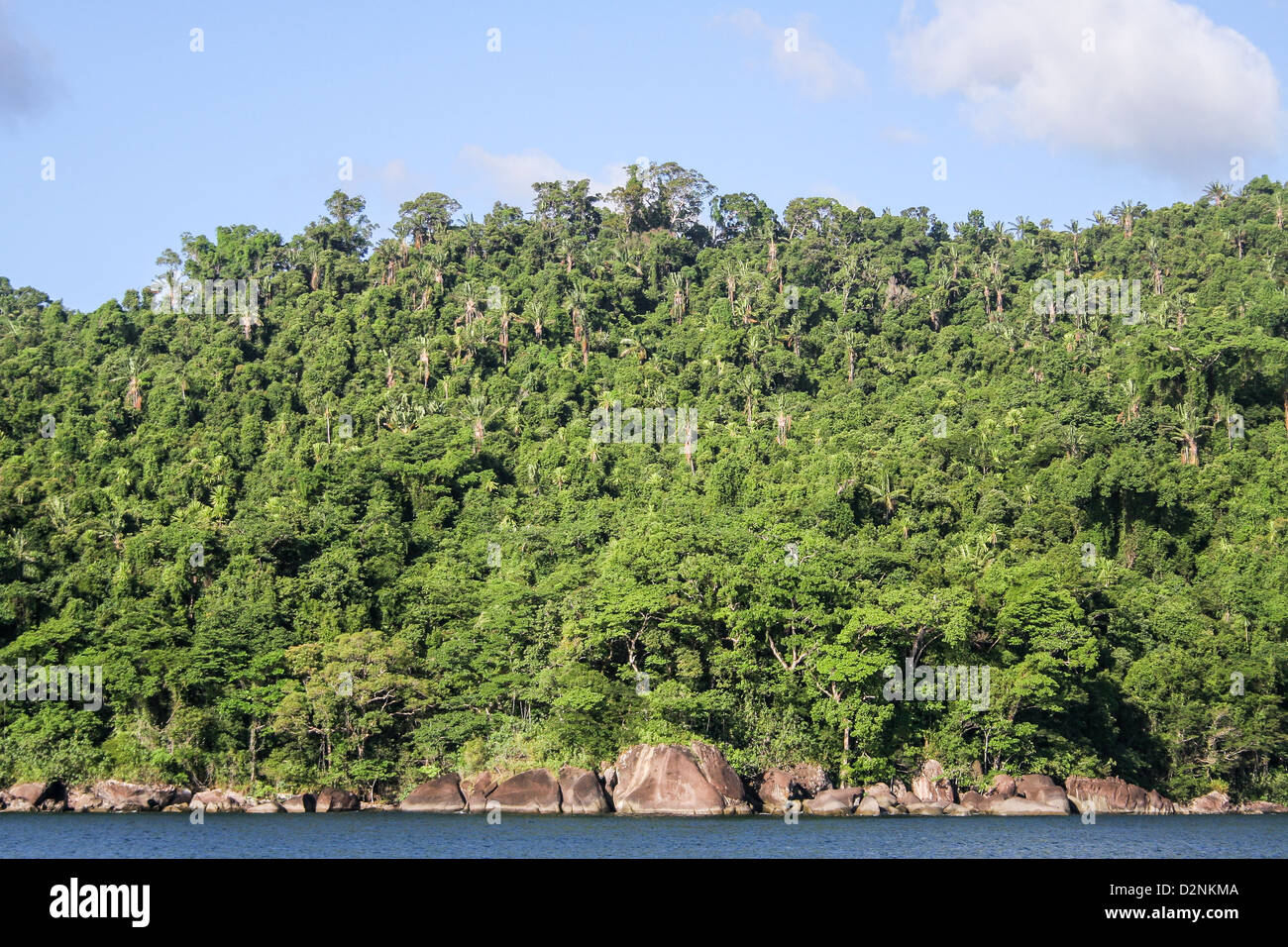 The Masoala forest in eastern Madagascar, UNESCO World Heritage Stock ...