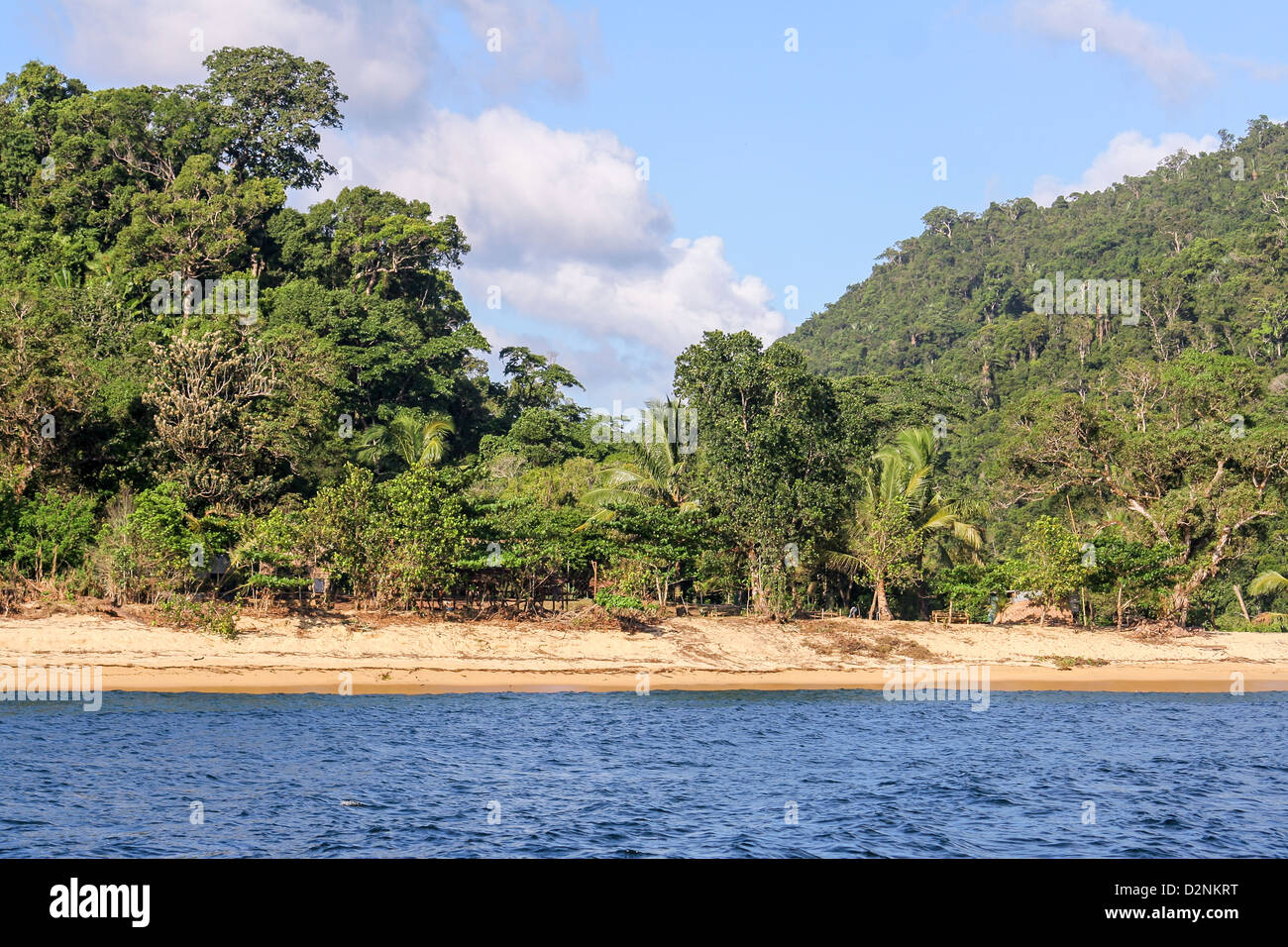 The Masoala forest in eastern Madagascar, UNESCO World Heritage Stock ...