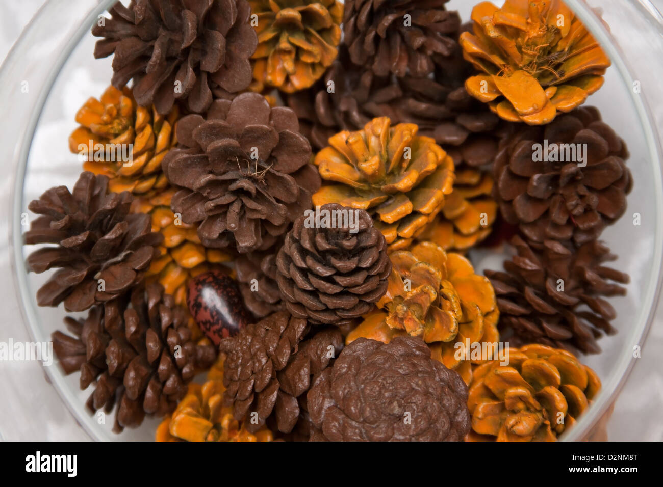 Cones cone hi-res stock photography and images - Alamy
