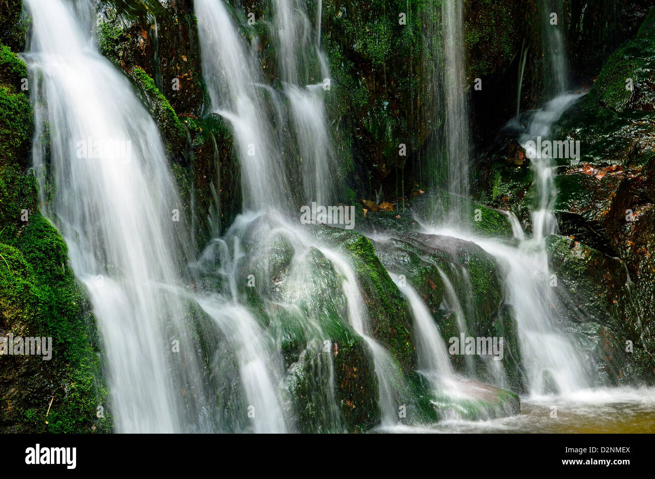 Cascade Falls in Patapsco State Park in Maryland Stock Photo - Alamy