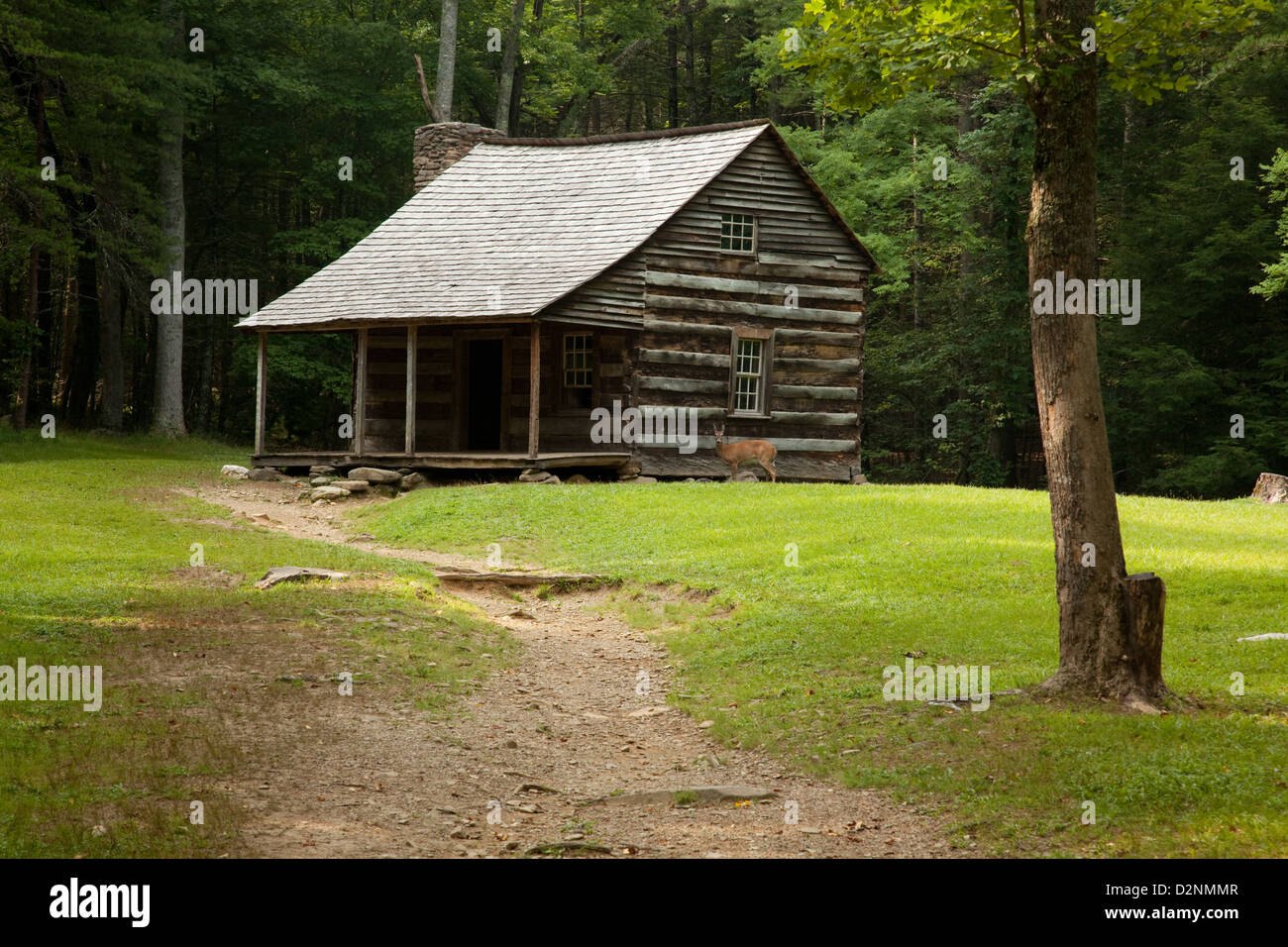 Log cabin in the woods, with a green yard and a foot-worn path to the ...