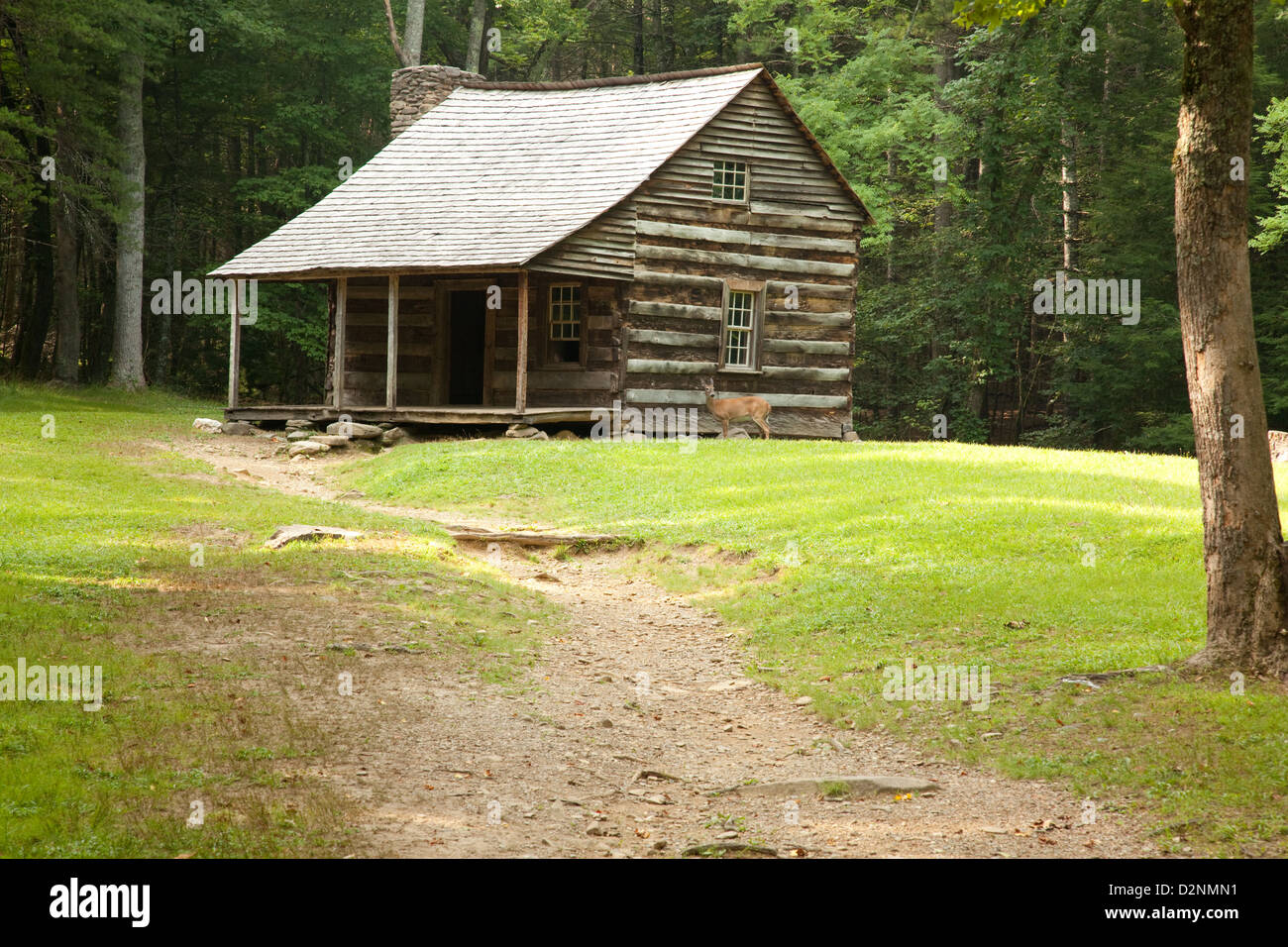 Log cabin in the woods, with a green yard and a foot-worn path to the ...